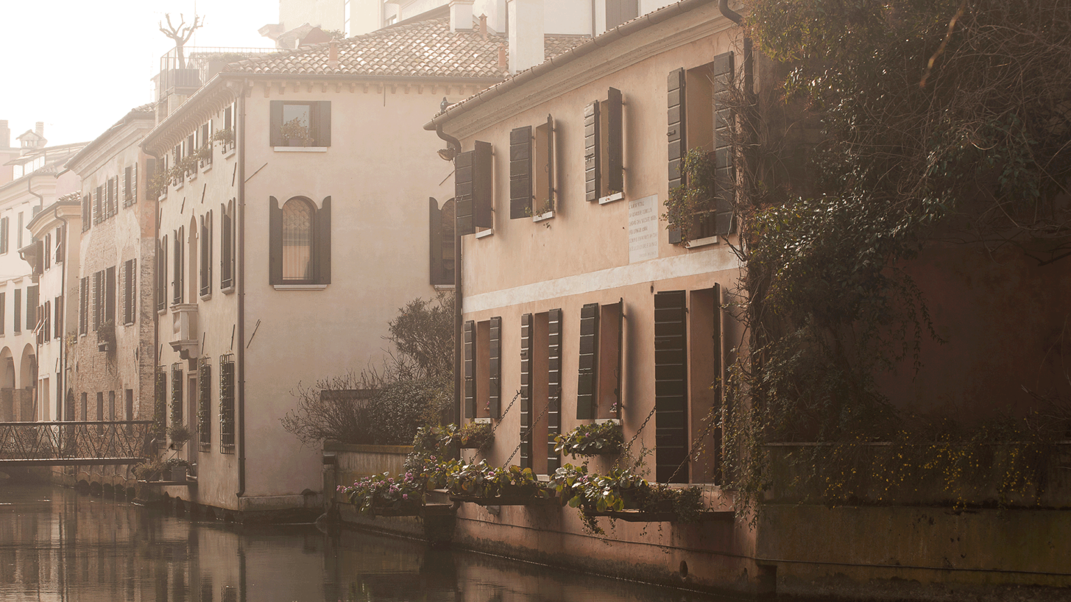 Prosecco Extra Dry DOC | FIOL Italian Sparkling Wines