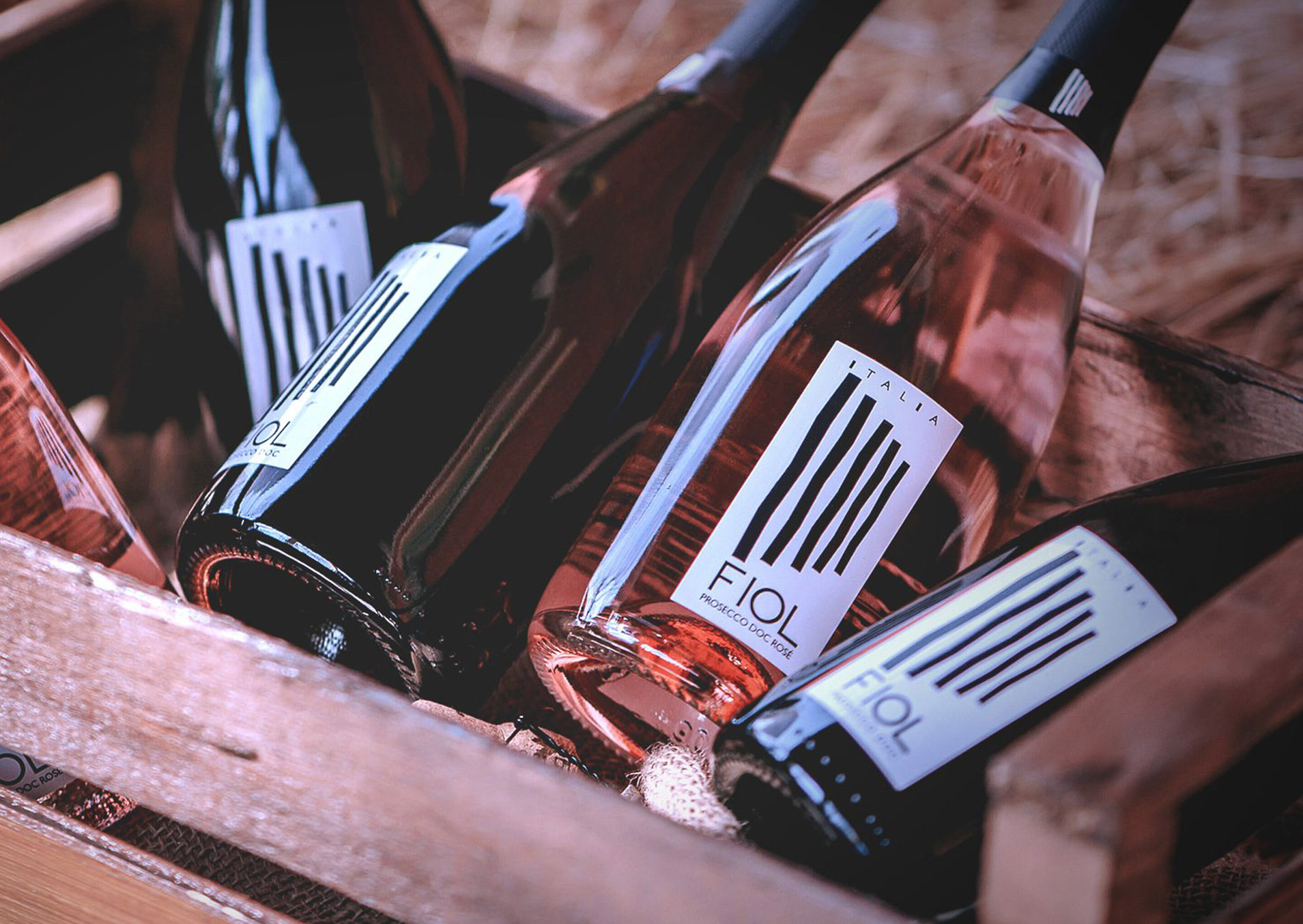 FIOL Italian Sparkling Wines | Prosecco DOC and Rosé